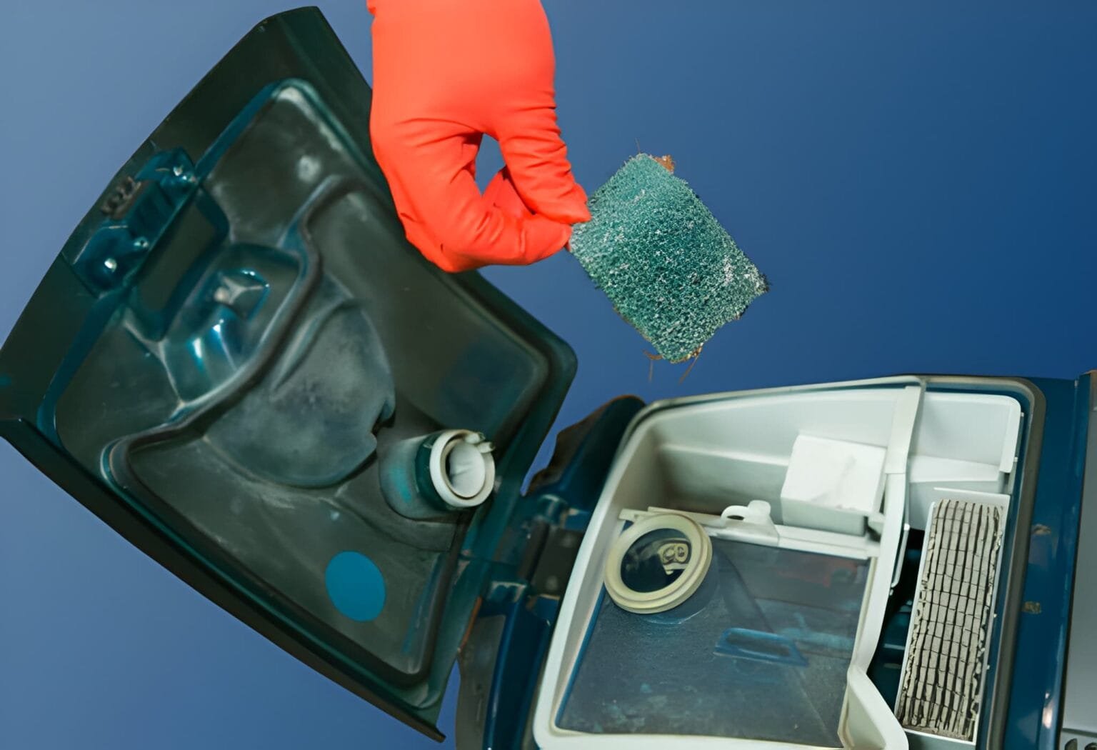 How to Fix Vacuum Cleaner Belt: Quick & Easy Step-by-Step Guide » We ...